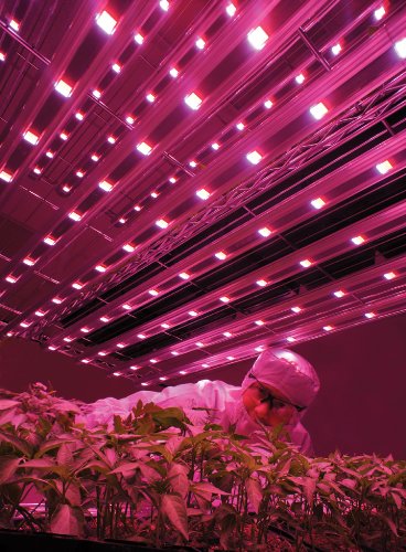 LED GROW LIGHTS F3 SPECTRUM PLANT GROWTH SYSTEM - Kush and Kind