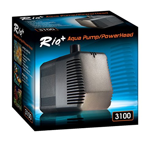 Rio Plus 3100HP Water Pump for Aquarium, 900-Gallon Per Hour - Kush and ...