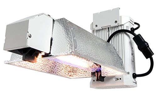 PARsource Commercial DE Enclosed Lighting System, 240V PHDEKTS1 - Kush ...